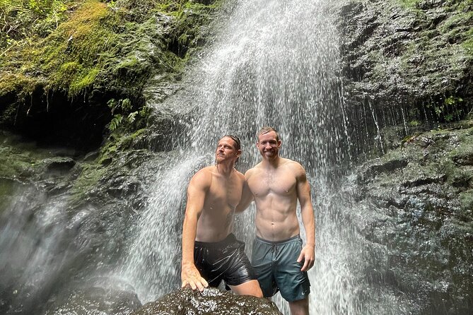 Waterfall Hike in Hawaii - Private Transportation/Group - Pricing and Value