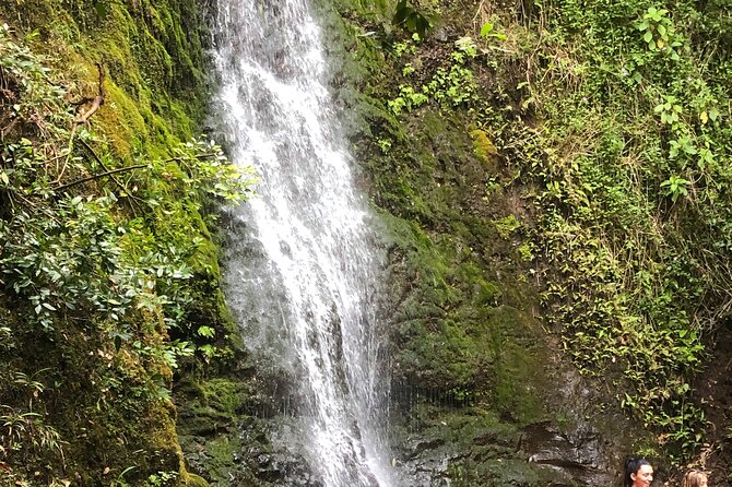 Waterfall Hike , Sightseeing & East Side Beach Day - Introduction