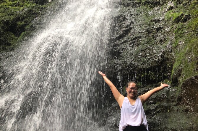 Waterfall Hike , Sightseeing & East Side Beach Day - Who Will Love This Tour?