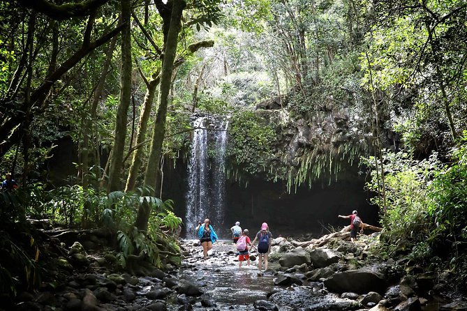 Waterfall & Rainforest Hiking Adventure with Hotel Pickup - Key Points