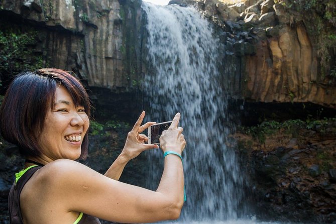 Waterfall & Rainforest Hiking Adventure with Hotel Pickup - An In-Depth Look at the Maui Rainforest & Waterfalls Tour