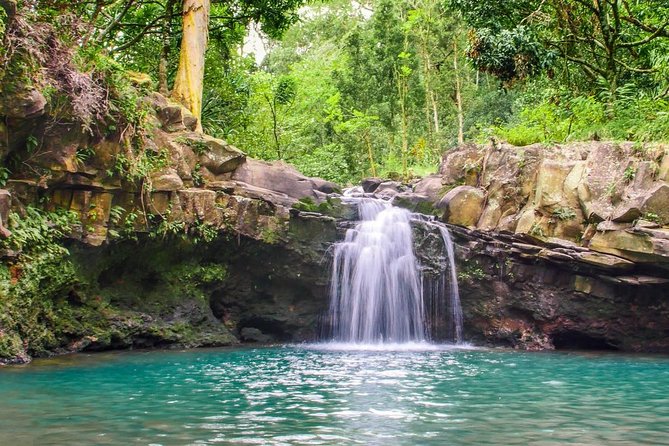 Waterfall & Rainforest Hiking Adventure with Hotel Pickup - Final Thoughts