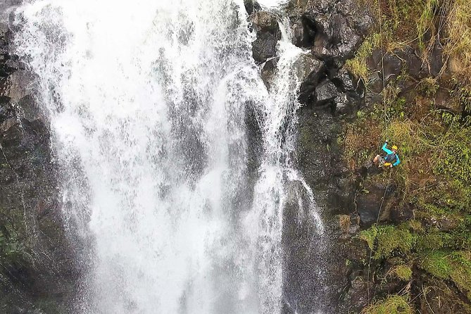 Waterfall Rappelling at Kulaniapia Falls: 120 Foot Drop, 15 Minutes from Hilo - Waterfall Rappelling at Kulaniapia Falls: 120-Foot Drop, 15 Minutes from Hilo