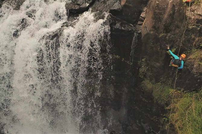 Waterfall Rappelling at Kulaniapia Falls: 120 Foot Drop, 15 Minutes from Hilo - An In-Depth Look at the Waterfall Rappelling Experience