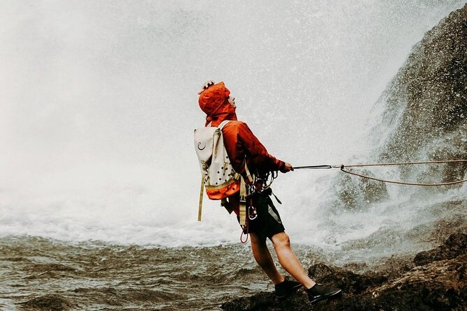 Waterfall Rappelling at Kulaniapia Falls: 120 Foot Drop, 15 Minutes from Hilo - Final Thoughts