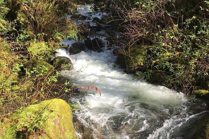 Waterfall Wonderland Hike with Transport - FAQ