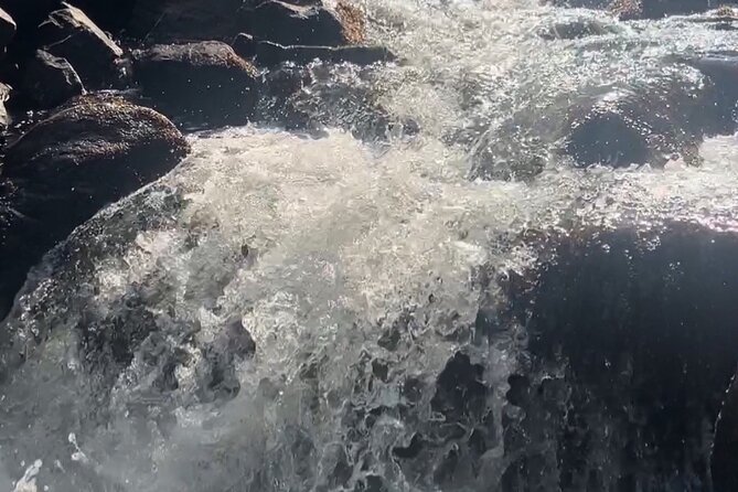 Waterfalls Adventure, A Hidden Gem In Nature - In-Depth: The Itinerary Breakdown