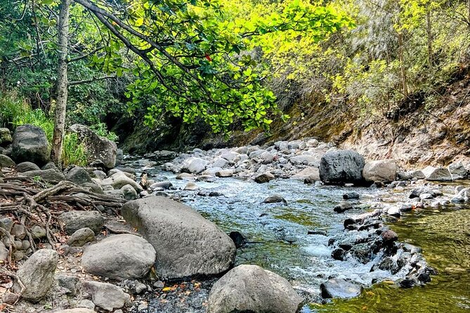Waterfalls, Hike & Rivers Tour from Kahului - Key Points