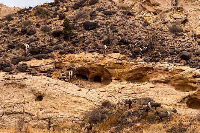 Waterpocket Fold Offroad Tour to Strike Valley Overlook - Who Would Love This Experience?