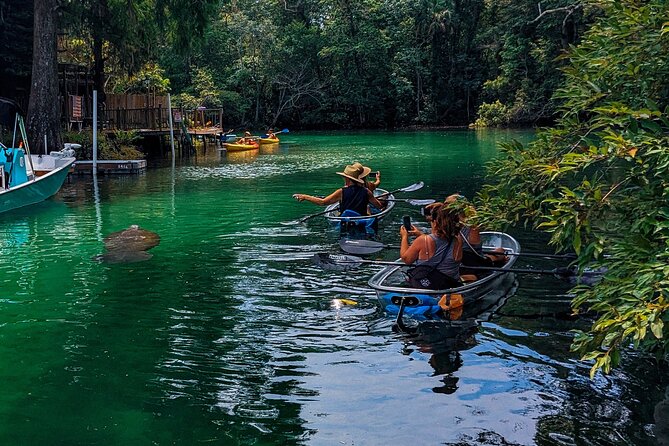 Weeki Wachee Clear Kayak Ecotours Manatee Season - November 14th-March 31st - The Itinerary and What You Can Expect