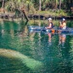 Weeki Wachee Clear Kayak Ecotours Manatee Season - November 14th-March 31st - What’s Included and What’s Not