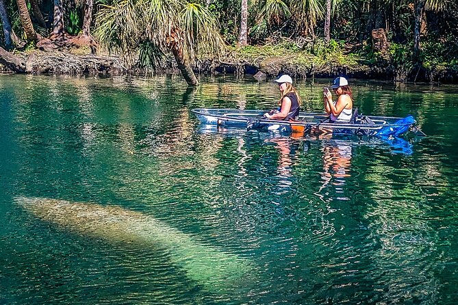 Weeki Wachee Clear Kayak Ecotours Manatee Season - November 14th-March 31st - What’s Included and What’s Not