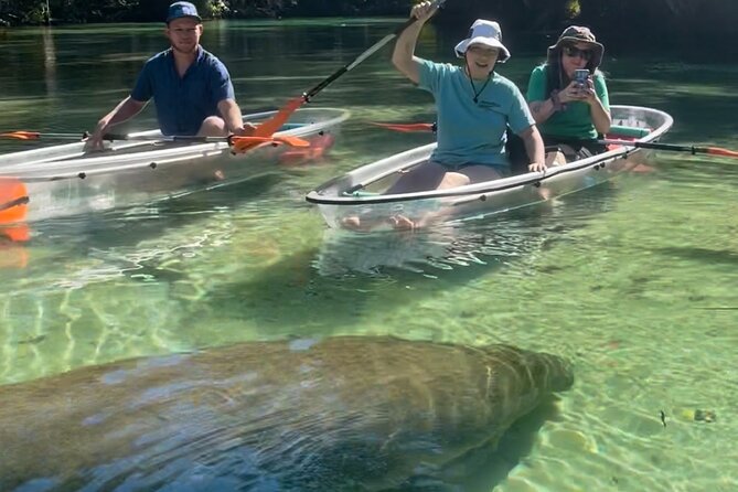 Weeki Wachee Clear Kayak Ecotours Manatee Season - November 14th-March 31st - Practical Tips for Your Trip