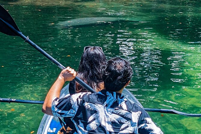 Weeki Wachee Clear Kayak Ecotours Manatee Season - November 14th-March 31st - Authentic Experiences and Honest Feedback