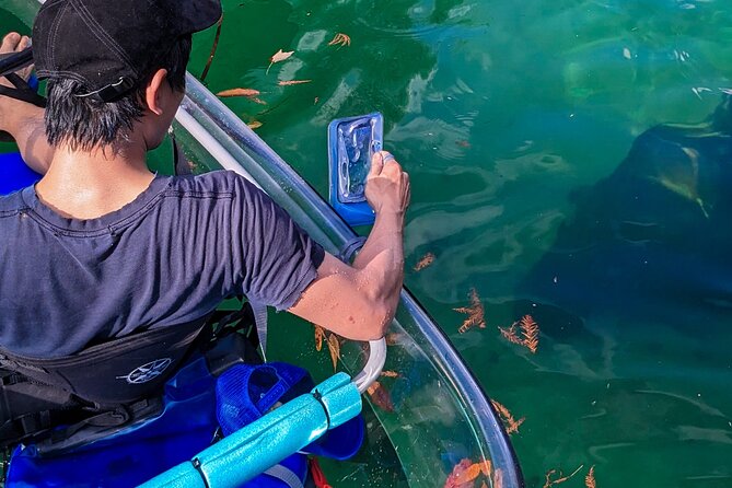 Weeki Wachee Clear Kayak Ecotours Manatee Season - November 14th-March 31st - Why This Tour Is a Great Choice