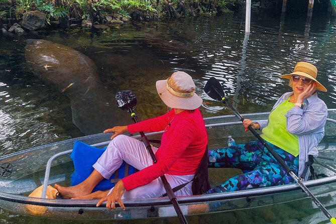 Weeki Wachee Clear Kayak Ecotours Manatee Season - November 14th-March 31st - Frequently Asked Questions