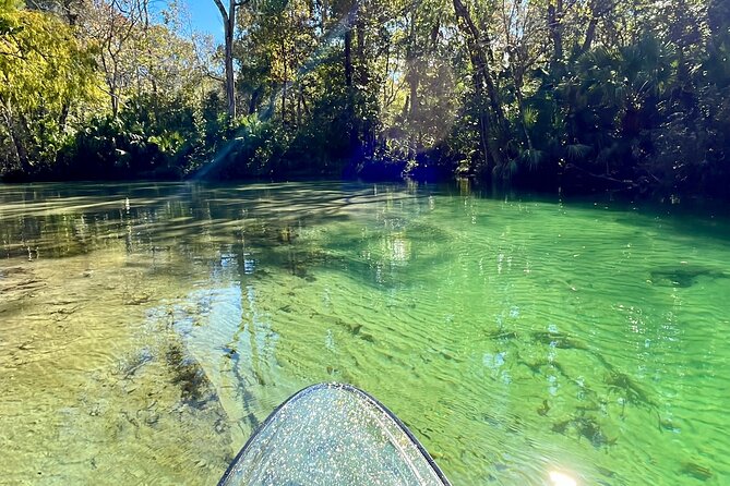 Weeki Wachee Clear Paddle Board Ecotours - Key Points