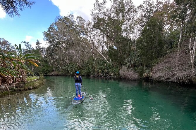 Weeki Wachee Clear Paddle Board Ecotours - Who Will Love This Tour?