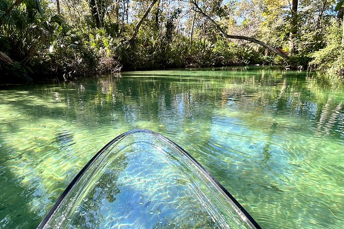 Weeki Wachee Clear Paddle Board Ecotours - Frequently Asked Questions
