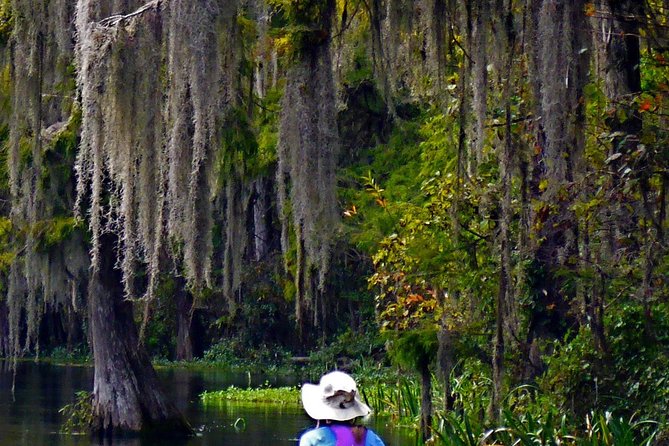 Wekiva River Guided Kayak Tour - A Detailed Look at the Wekiva River Kayak Tour