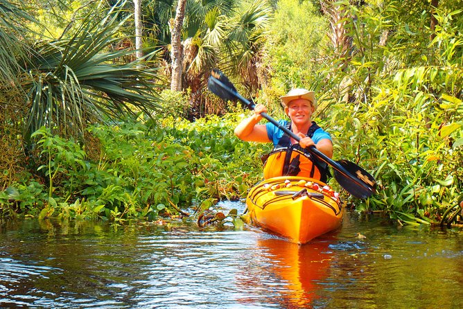 Wekiva River Guided Kayak Tour - Why This Tour Is Worth Considering
