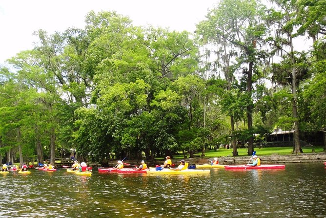 Wekiva River Guided Kayak Tour - Final Thoughts