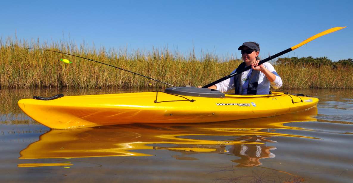 Wekiva River Kayak Full-Day Trip - An In-Depth Look at the Wekiva River Kayak Full-Day Trip