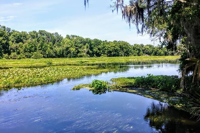 Wekiva Wildlife Kayaking Adventure Tour - Final Thoughts: Who Should Consider This Tour?