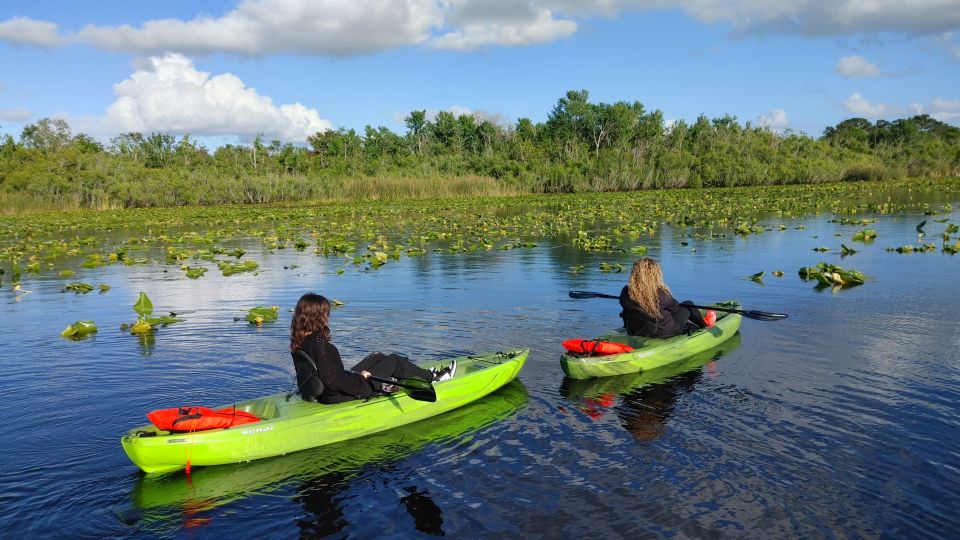 Wekiva Wildlife kayaking Adventure Tour - Final Thoughts