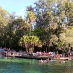 Wekiwa Spring State Park - Transportation - The Reality of the Wekiwa Spring State Park Transportation Tour