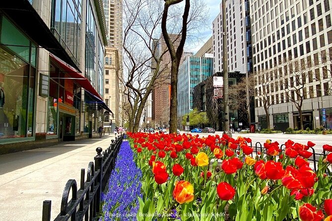 Welcome to Chicago: Private Half-Day Tour with 360 Observation Deck - Who Will Love This Tour?