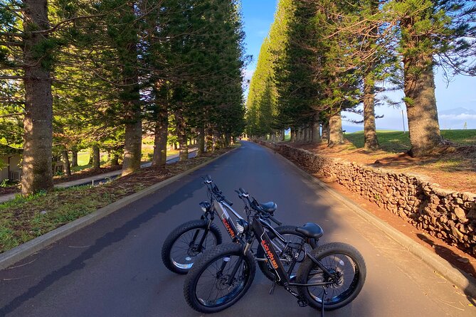 West Maui Electric Bike Rentals - Why Choose West Maui Electric Bike Rentals?
