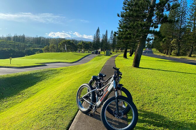West Maui Electric Bike Rentals - Details From the Reviews