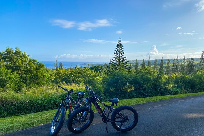 West Maui Electric Bike Rentals - The Sum Up