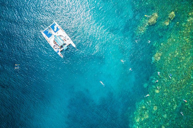 West Maui Half Day Snorkel from Kaanapali Beach - Key Points