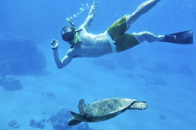 West Maui Half Day Snorkel from Kaanapali Beach - The Real Value of This Experience