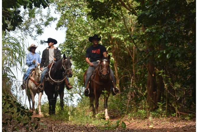 West Maui Mountain Waterfall and Ocean Tour via Horseback - Why This Tour Offers Great Value