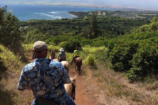 West Maui Mountain Waterfall and Ocean Tour via Horseback - Final Thoughts