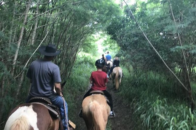 West Maui Mountain Waterfall and Ocean Tour via Horseback - FAQ