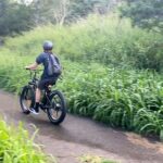 West Maui: Self-Guided E-Bike Kapalua Jungle Adventure Tour - A Closer Look at the Experience