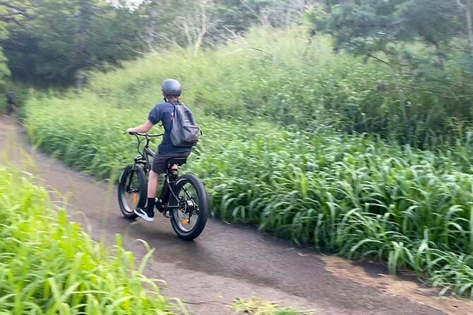West Maui: Self-Guided E-Bike Kapalua Jungle Adventure Tour - A Closer Look at the Experience