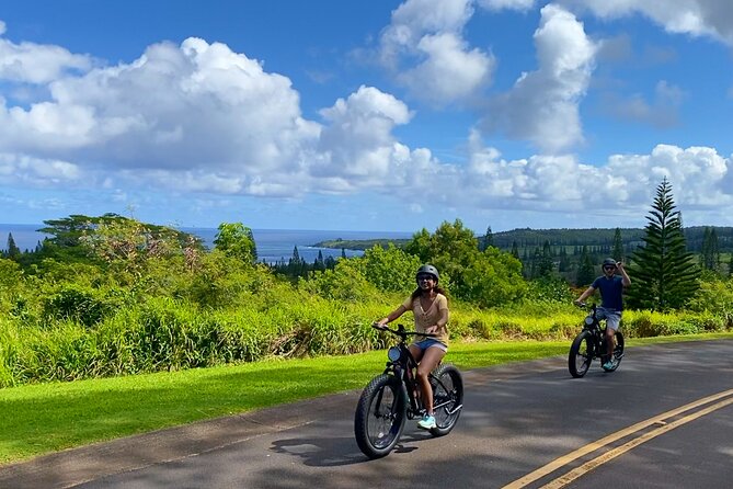 West Maui: Self-Guided E-Bike Kapalua Jungle Adventure Tour - Final Thoughts