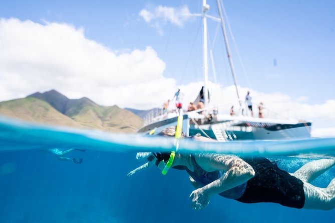 West Maui Snorkel & Sail from Ma'alaea Harbor - Why This Tour Offers Great Value