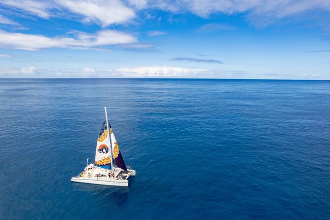 West Oahu Green Sea Turtle and Dolphin Snorkel Sail with Lunch - The Itinerary: What You Can Expect on the Water