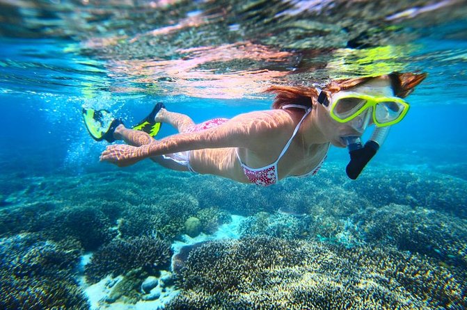 West Oahu Green Sea Turtle and Dolphin Snorkel Sail with Lunch - Who Should Book This Tour?