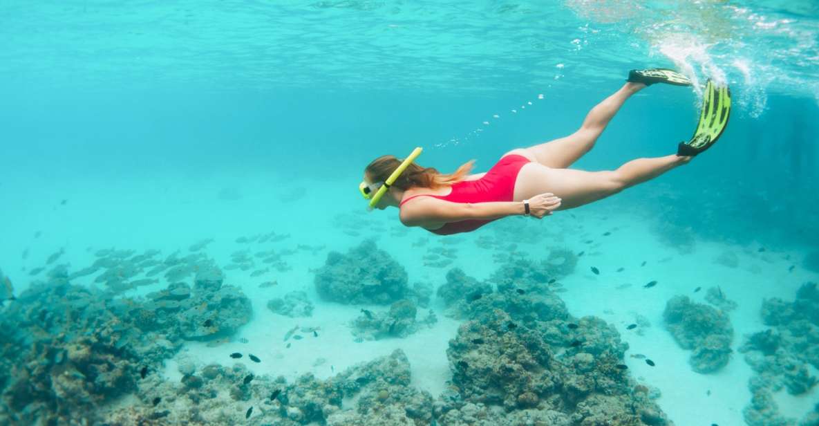 West Oahu: Turtles, Dolphins, and Snorkeling Tour with Lunch - Key Points