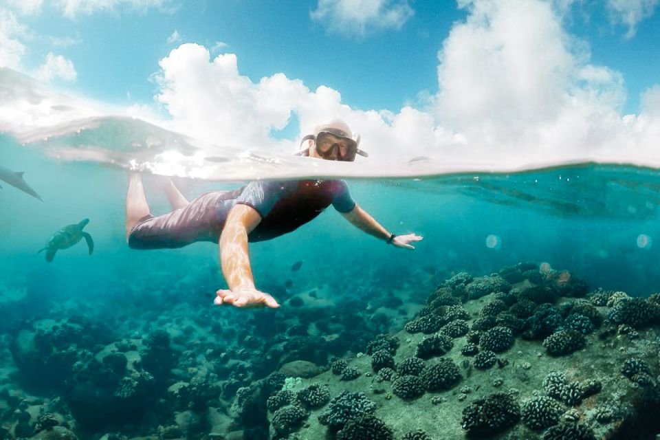 West Oahu: Turtles, Dolphins, and Snorkeling Tour with Lunch - Frequently Asked Questions