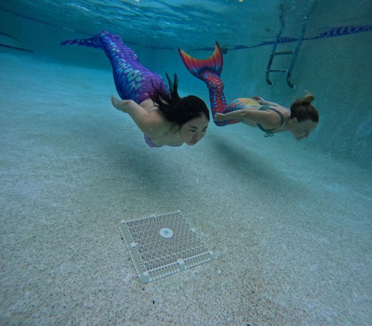 West Palm Beach: Become A Mermaid - What Is the West Palm Beach: Become A Mermaid Tour?