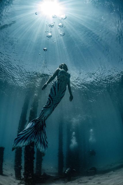 West Palm Beach: Become A Mermaid - The Mermaid Tails and Photos