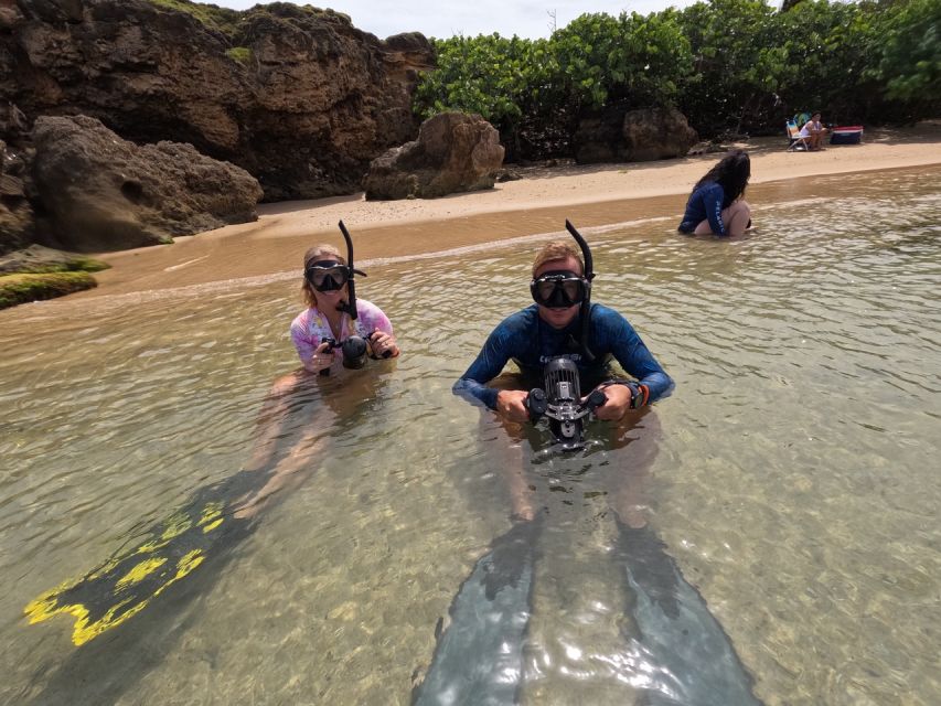 West Palm Beach: Beginner Jet Snorkel Tour with Videos - Key Points